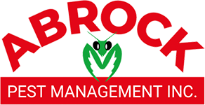 Carrollton Pest Control | Abrock Pest